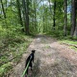 Low Gap Trail , Indiana - 1,313 Reviews, Map | AllTrails