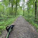 Low Gap Trail , Indiana - 1,313 Reviews, Map | AllTrails