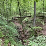 Low Gap Trail , Indiana - 1,313 Reviews, Map | AllTrails