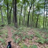 Low Gap Trail , Indiana - 1,313 Reviews, Map | AllTrails