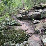 Keystone Ancient Forest Falls Trail, Oklahoma - 800 Reviews, Map ...