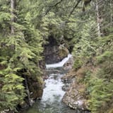 Franklin Falls Trail, Washington - 5,092 Reviews, Map | AllTrails