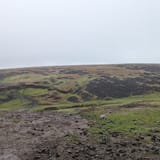 Phantom Falls Loop, California - 1,127 Reviews, Map | AllTrails