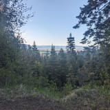 Rathdrum Mountain Trail, Idaho - 323 Reviews, Map | AllTrails