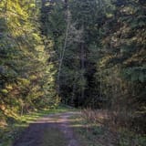 Rathdrum Mountain Trail, Idaho - 323 Reviews, Map | AllTrails