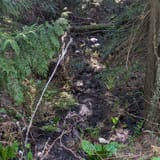 Rathdrum Mountain Trail, Idaho - 323 Reviews, Map | AllTrails