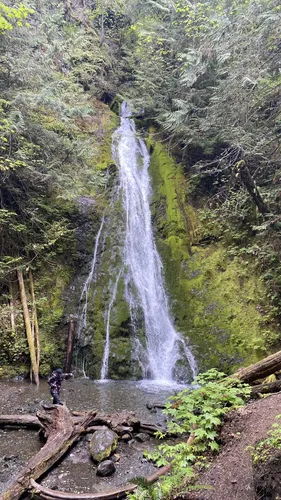 Best Paved Trails in Port Angeles | AllTrails