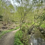 Moore Park Ravine Trail, Ontario, Canada - 1,327 Reviews, Map | AllTrails