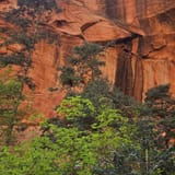 Middle Fork Taylor Creek Trail, Utah - 3,275 Reviews, Map | AllTrails