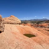 The Bowl, The Vortex, Utah - 1,709 Reviews, Map | AllTrails