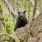 David J Culham Trail, Ontario, Canada - 1,303 Reviews, Map | AllTrails