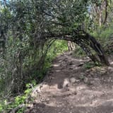 Upper Table Rock Trail, Oregon - 1,676 Reviews, Map | AllTrails