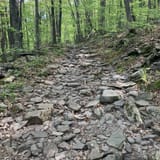 Mount Tremper Trail, New York - 1,584 Reviews, Map | AllTrails