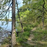 Herb Parsons Lake Green Trail, Tennessee - 830 Reviews, Map | AllTrails