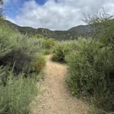 Tenaja Falls, California - 739 Reviews, Map | AllTrails