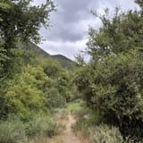 Tenaja Falls, California - 720 Reviews, Map | AllTrails
