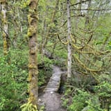 Japanese Gulch Loop Trail, Washington - 1,239 Reviews, Map | AllTrails