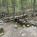 Reeves Brook Loop Trail, New York - 4,689 Reviews, Map | AllTrails