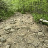 Reeves Brook Loop Trail, New York - 4,670 Reviews, Map | AllTrails