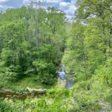 Martell Forest Loop, Indiana - 574 Reviews, Map | AllTrails