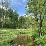 Martell Forest Loop, Indiana - 574 Reviews, Map | AllTrails