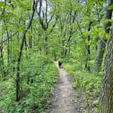 Martell Forest Loop, Indiana - 574 Reviews, Map | AllTrails