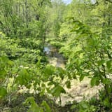 Martell Forest Loop, Indiana - 574 Reviews, Map | AllTrails