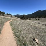 Walker Ranch Loop, Colorado - 4,591 Reviews, Map | AllTrails