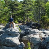 Trail Through Time, Missouri - 2,616 Reviews, Map | AllTrails