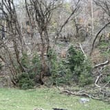 Red Lake Trail, Utah - 228 Reviews, Map | AllTrails