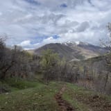 Red Lake Trail, Utah - 224 Reviews, Map | AllTrails