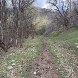 Red Lake Trail, Utah - 228 Reviews, Map | AllTrails
