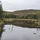 Jordan Valley Pathway, Michigan - 739 Reviews, Map | AllTrails