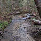 Jordan Valley Pathway, Michigan - 739 Reviews, Map | AllTrails