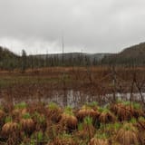 Jordan Valley Pathway, Michigan - 739 Reviews, Map | AllTrails