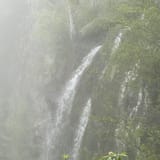 Lewis Spring Falls Trail, Virginia - 1,464 Reviews, Map | AllTrails