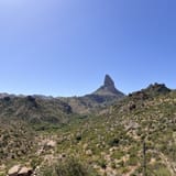 Weavers Needle Loop Trail, Arizona - 644 Reviews, Map | AllTrails