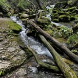 Cave River Valley Trail, Indiana - 206 Reviews, Map | AllTrails