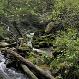 Cave River Valley Trail, Indiana - 206 Reviews, Map | AllTrails