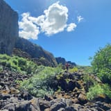 Tuolumne Table Mountain, California - 1,141 Reviews, Map | AllTrails