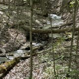Plateau Trail, Ohio - 3,406 Reviews, Map | AllTrails
