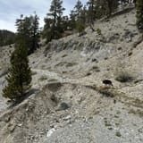 Mary Jane Falls Trail [CLOSED], Nevada - 4,746 Reviews, Map | AllTrails