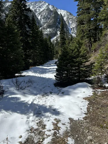 Best Backpacking Trails in Big Timber | AllTrails