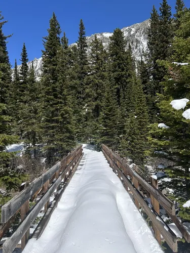 Best Backpacking Trails in Big Timber | AllTrails