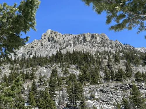 Best Backpacking Trails in Big Timber | AllTrails