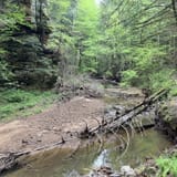 Whispering Cave - Cedar Falls Loop, Ohio - 854 Reviews, Map | AllTrails