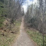 Bird Ridge Trail, Alaska - 1,028 Reviews, Map | AllTrails