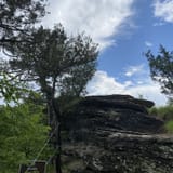 Window Cliffs Trail, Tennessee - 1,464 Reviews, Map | AllTrails