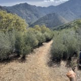Packsaddle Cave Trail, California - 540 Reviews, Map | AllTrails