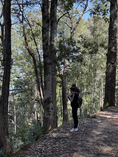 Best Road Biking Trails in Woodside | AllTrails